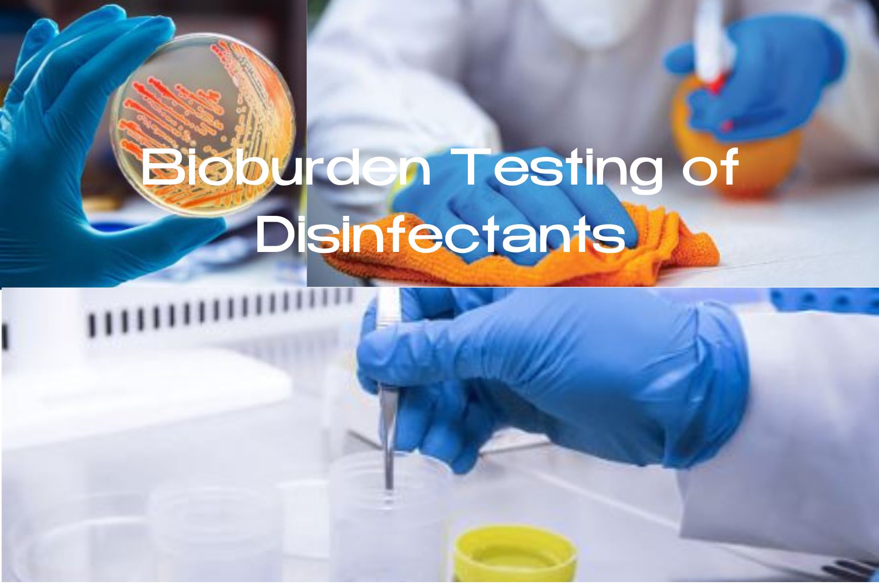 Bioburden Testing Of Disinfectants – www.pharmacistpk.com